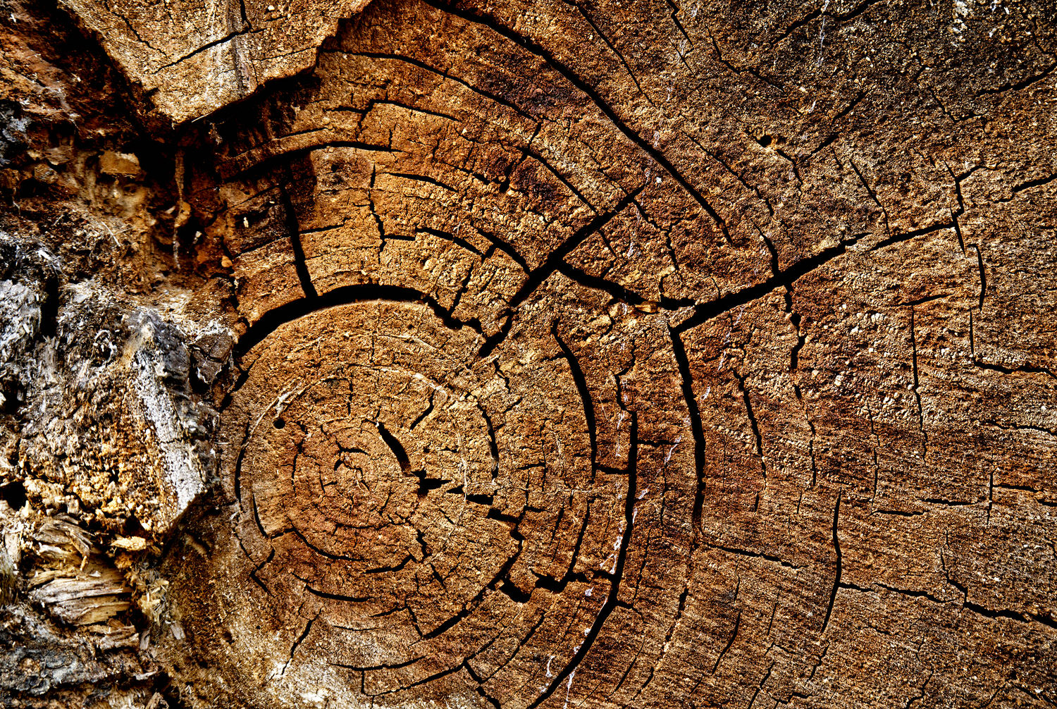 HP_Struktur_Riedl - Fotoklub St. Ulrich